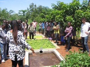 Promoting organic and sustainable farming in Togo | Climate Chance
