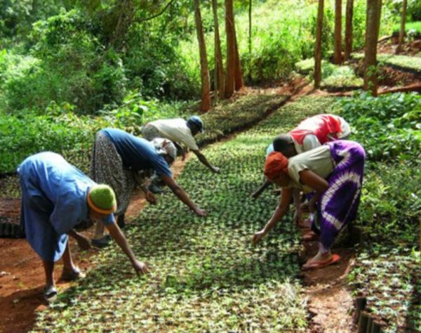 Community Adaptation and Mitigation Project | Climate Chance