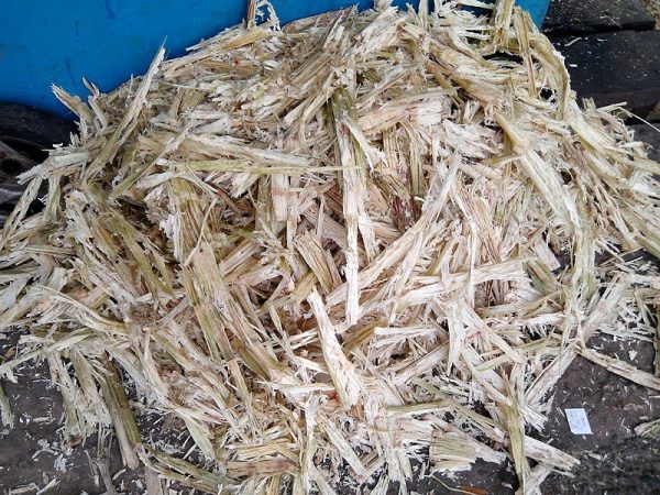 Building and packaging materials from coconut husk and sugarcane ...