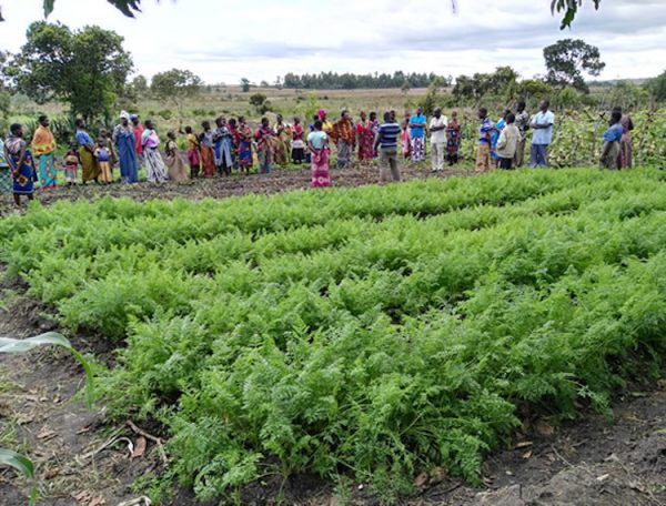 Enhancing Climate Change Adaptation and Mitigation Capacities of ...