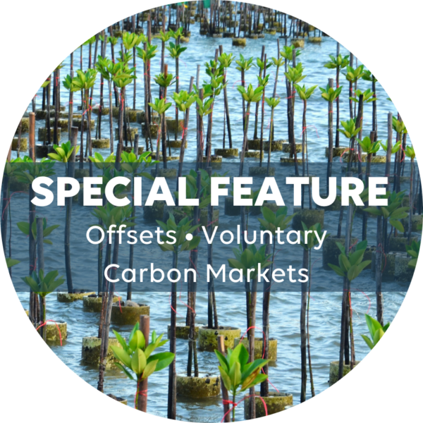 Offsets • The Net Zero Target: The Voluntary Carbon Market Enters a New ...