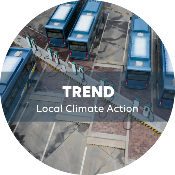 Local Action • Local authorities in 2020: innovation and progress in ...