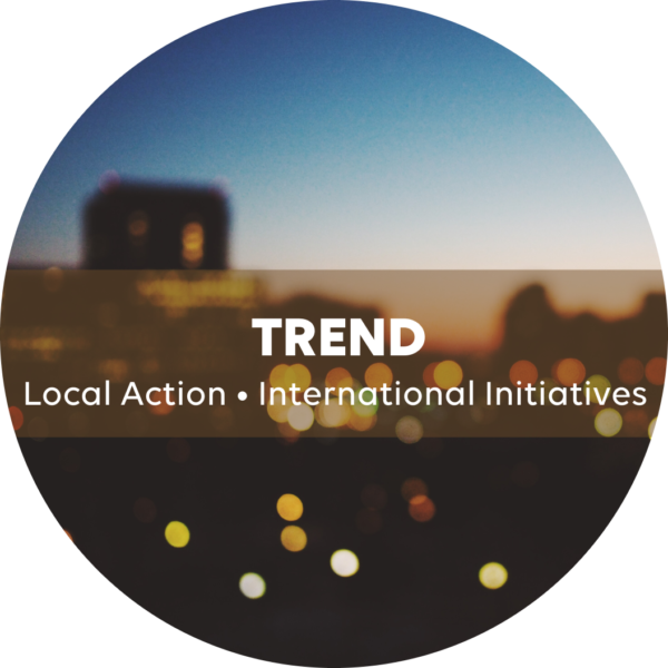 Local Action • Progress made through international climate initiatives ...