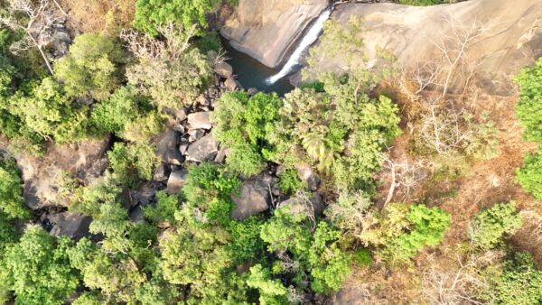 Towards Strengthened Partnerships under the “Biodiversity Corridor in ...